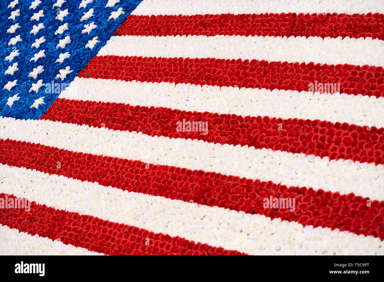 American flag flowers hi-res stock photography and images - Alamy