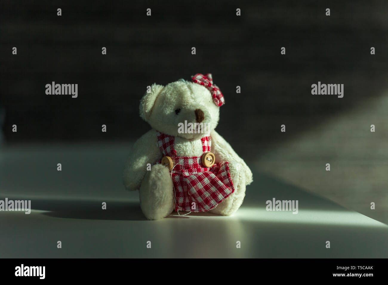 Comforting teddy bear hi-res stock photography and images - Alamy