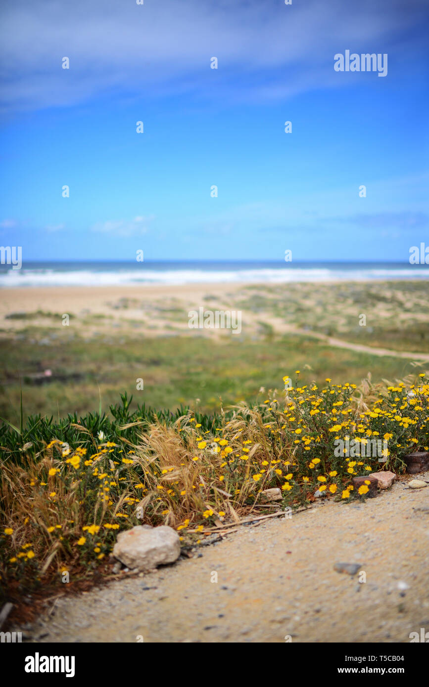 North beach of nazare hi-res stock photography and images - Alamy
