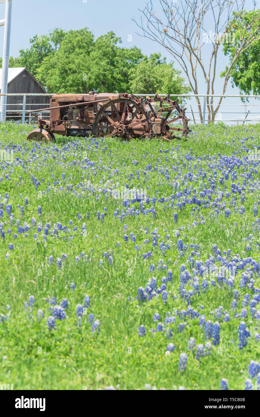 Old tractor texas farm hi-res stock photography and images - Alamy