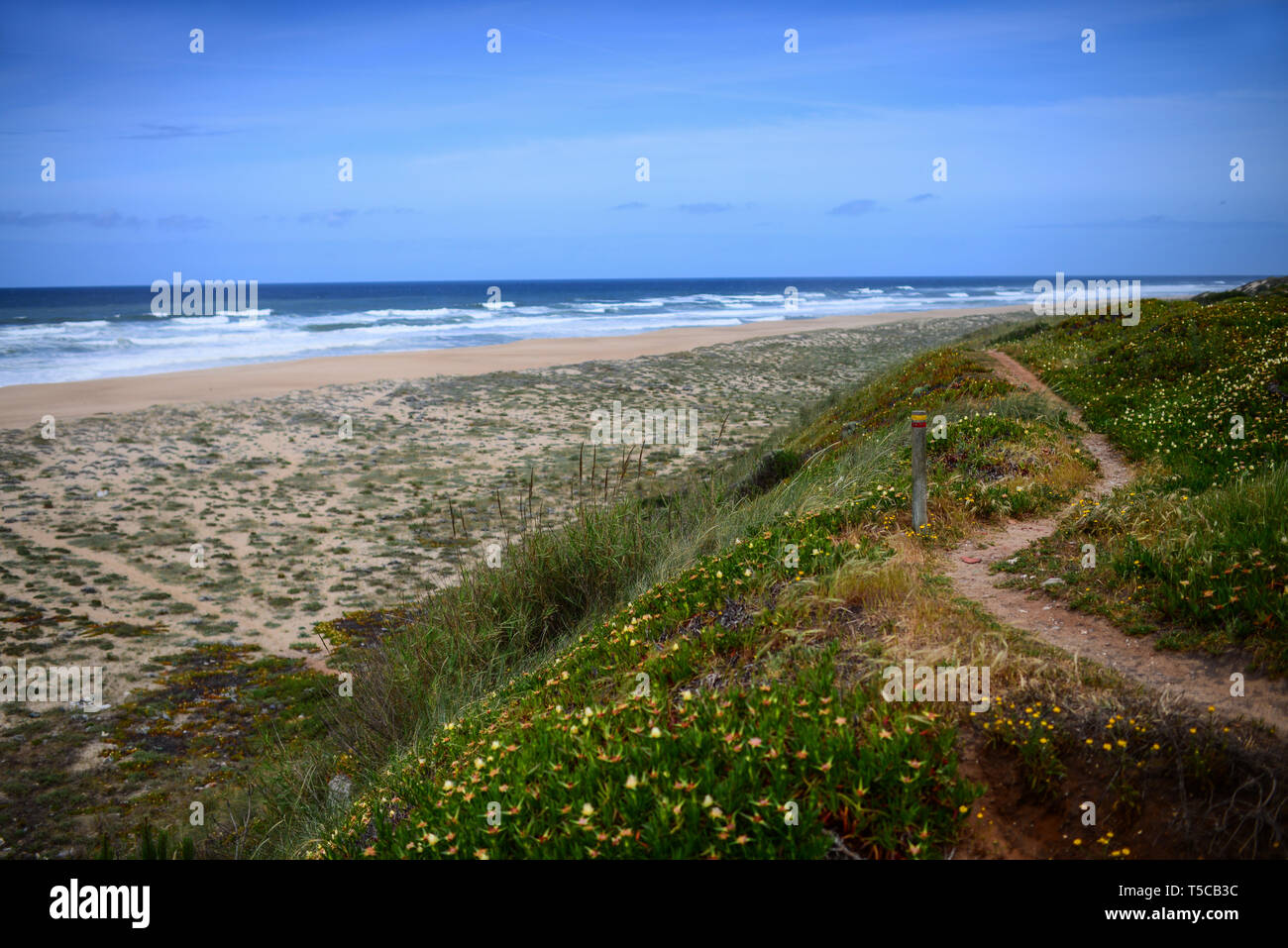 Praia do Norte (North Beach) in Nazare, Portugal Stock Photo - Alamy