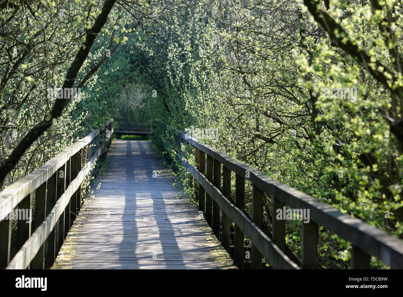 Bridge and Tunnel style,Steinhuder Meer,Low Saxony,Germany.Brücke am ...