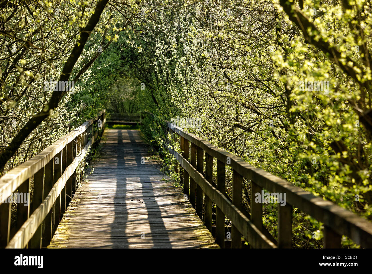 Winzlar,Wilhelmstein Insel am Steinhuder Meer,Deutschland.Bridge and ...