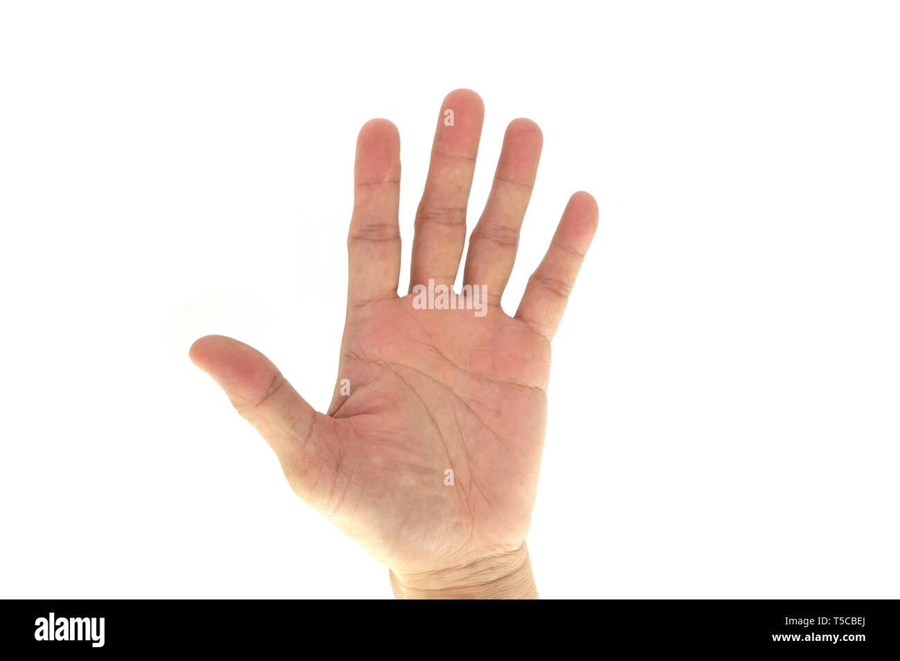 Army/Swat Tactical Hand Signals / Signal : 5 (five) isolated on white ...