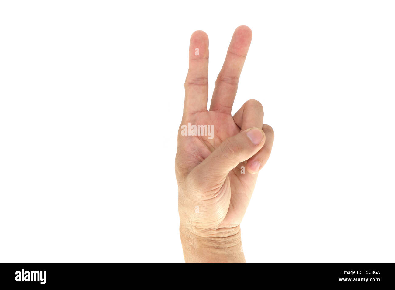 Army/Swat Tactical Hand Signals / Signal : 2 (Two) isolated on white ...
