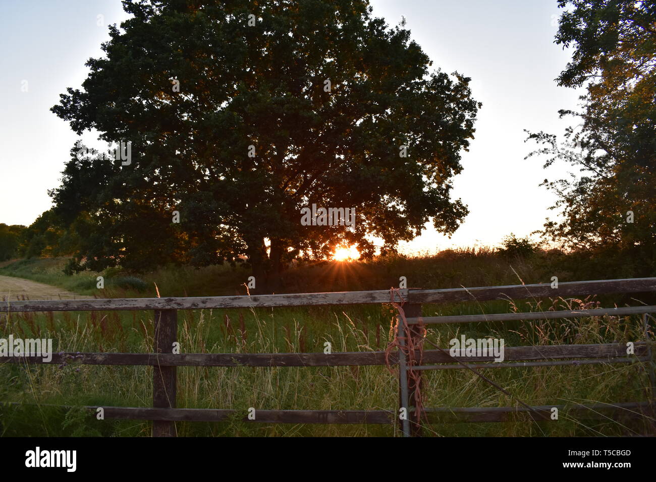 Sunset through fence hi-res stock photography and images - Alamy