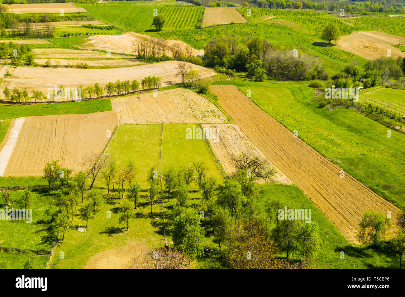 Croatian countryside landscape, Daruvar region aerial view, agriculture ...