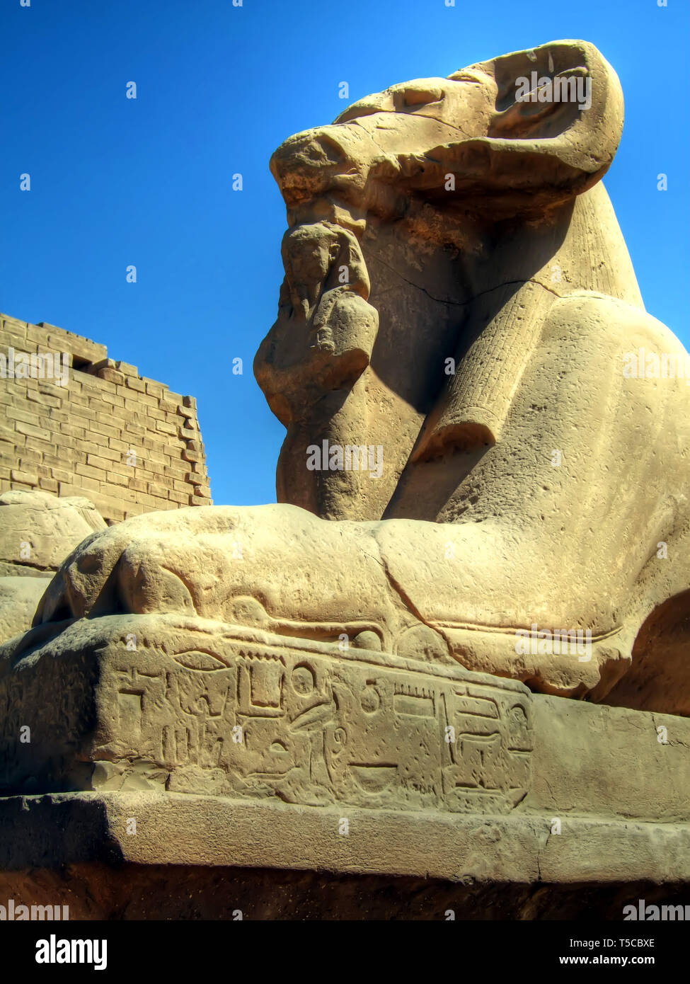 Ram sculpture in Karnak temple, Luxor, Egypt history Stock Photo - Alamy