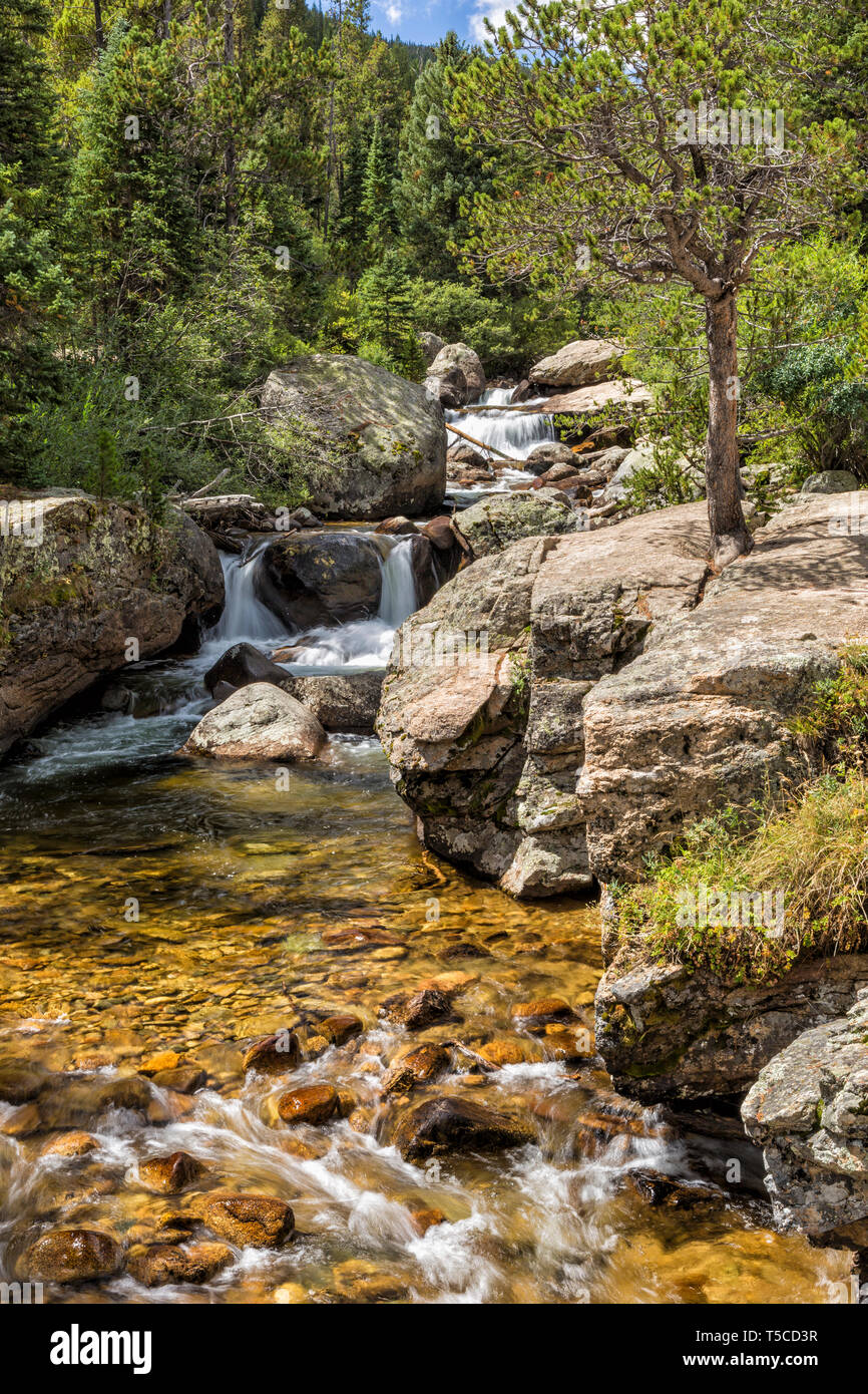 Copeland park hi-res stock photography and images - Alamy