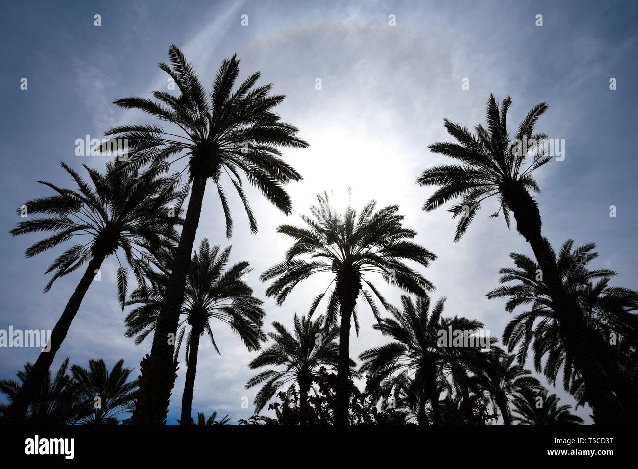 Indio hi-res stock photography and images - Alamy