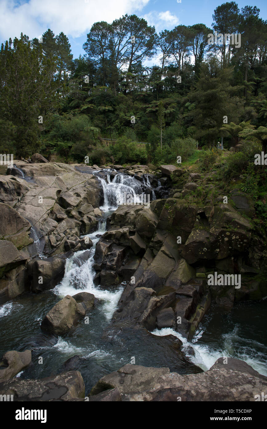 beautiful bush scenery at the waterfall in the forest Stock Photo - Alamy