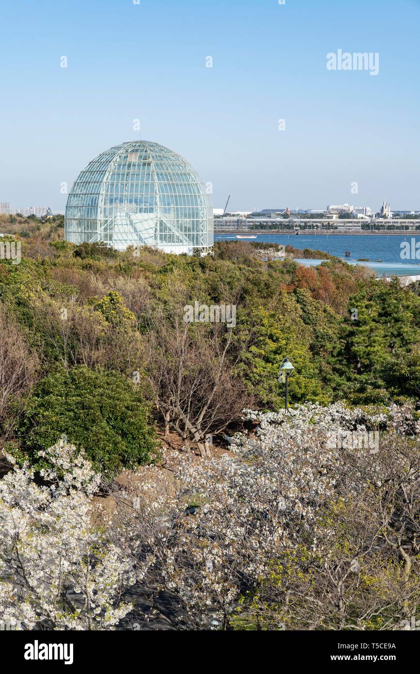 Kasai rinkai suizoku en hi-res stock photography and images - Alamy