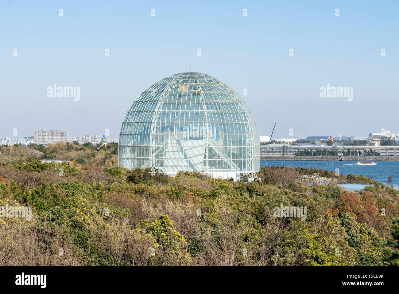 Kasai sea life park hi-res stock photography and images - Alamy