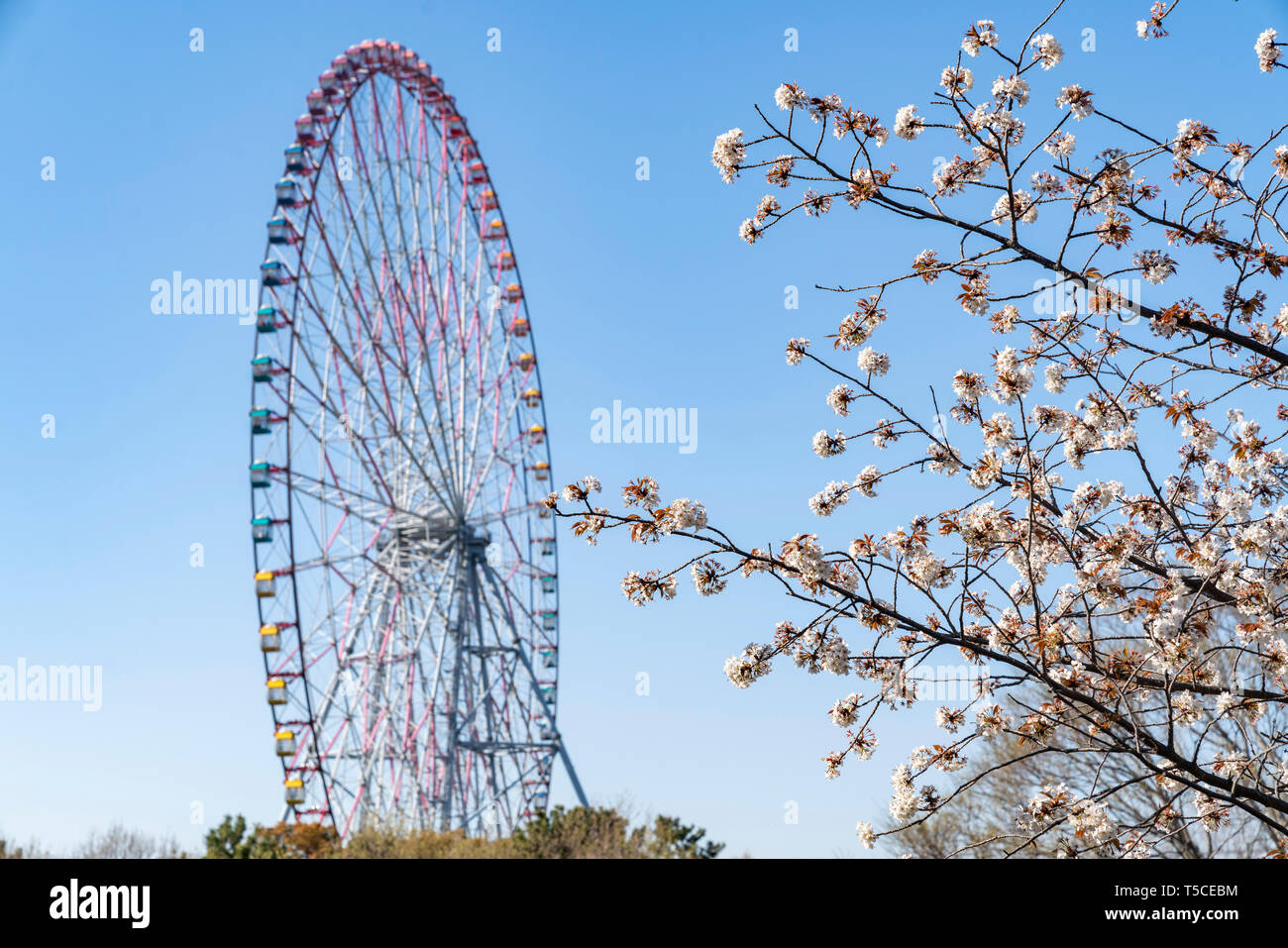 Kasai Rinkai Park, Edogawa-Ku, Tokyo, Japan Stock Photo - Alamy