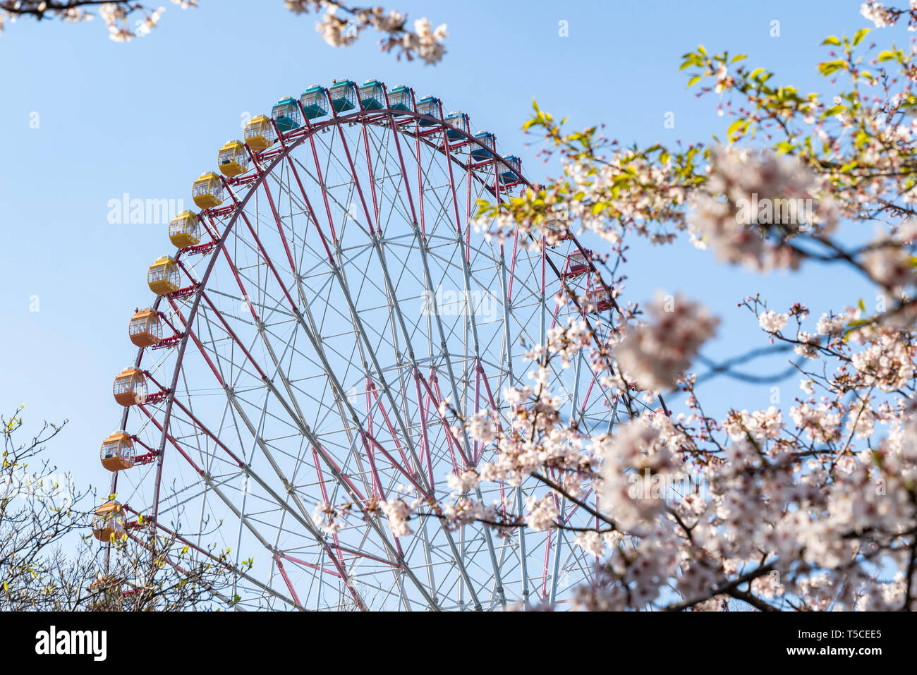 Kasai Rinkai Park, Edogawa-Ku, Tokyo, Japan Stock Photo - Alamy