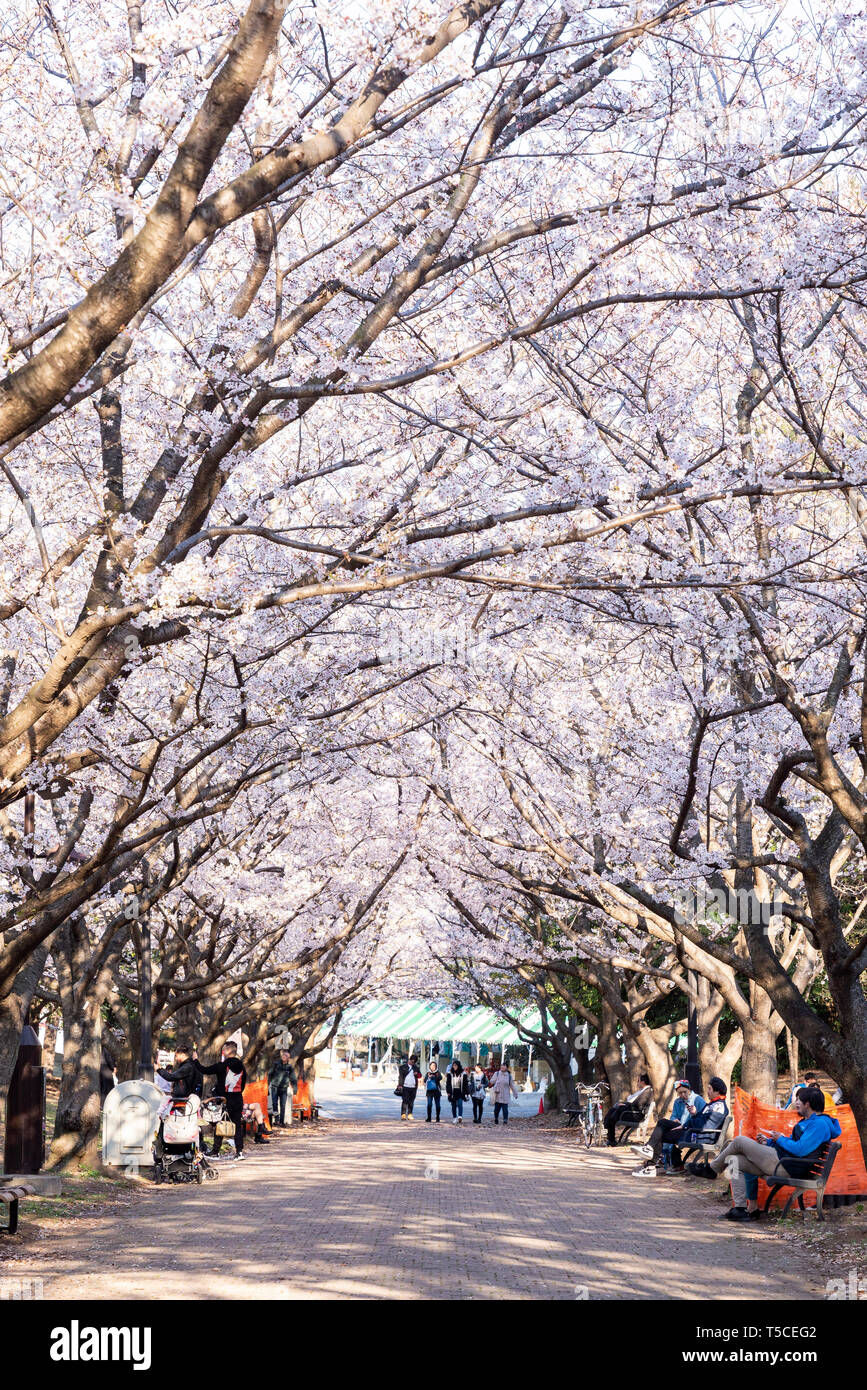 Edogawa road hi-res stock photography and images - Alamy