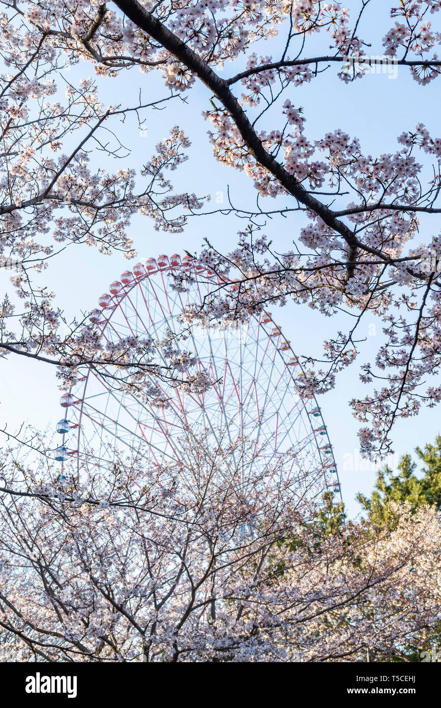 Kasai Rinkai Park, Edogawa-Ku, Tokyo, Japan Stock Photo - Alamy