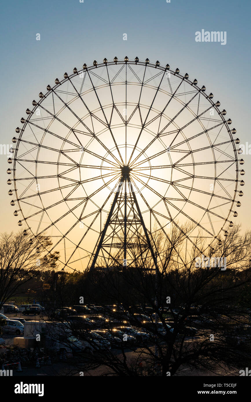 Kasai Rinkai Park, Edogawa-Ku, Tokyo, Japan Stock Photo - Alamy