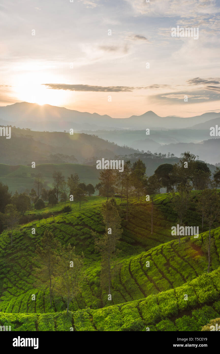 Beautiful place and view at indonesia (south bandung, cukul pangalengan ...