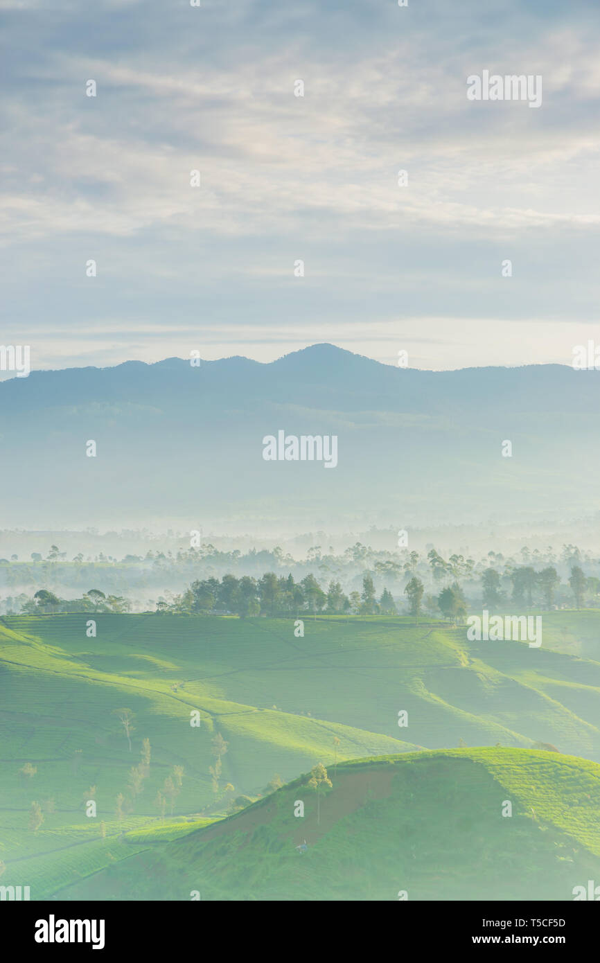 Beautiful place and view at indonesia (south bandung, cukul pangalengan ...