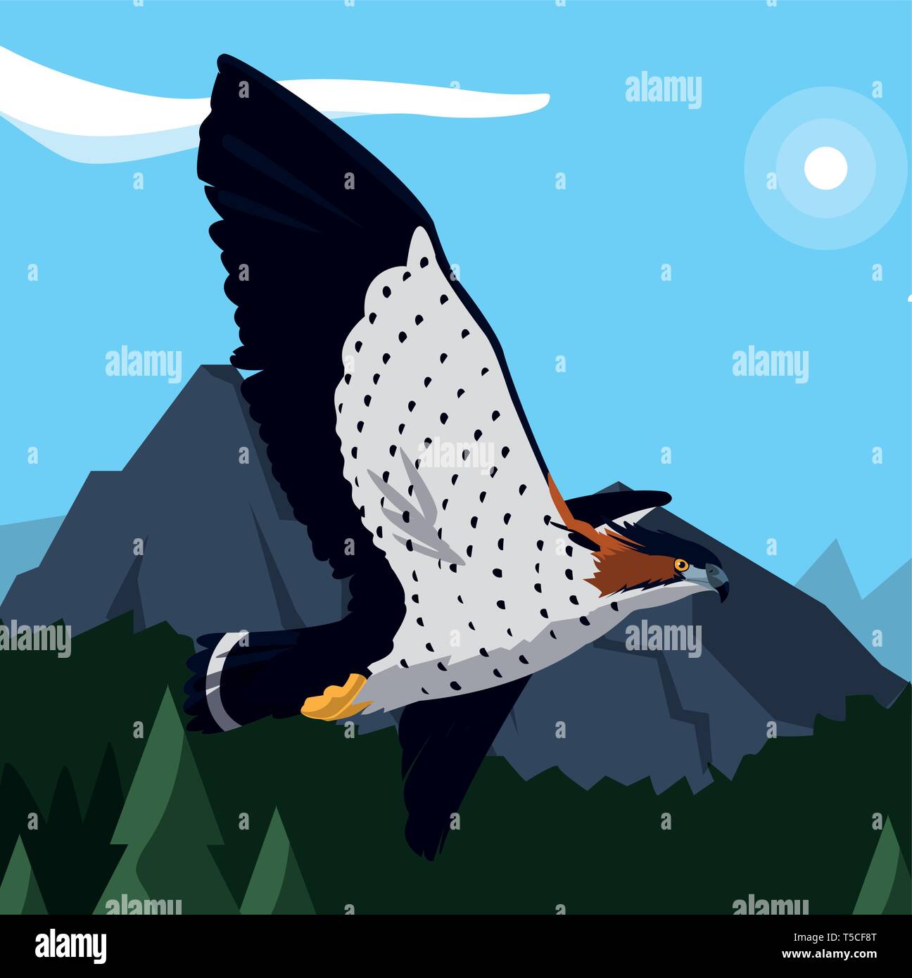 beautiful hawk flying majestic bird in the landscape vector ...