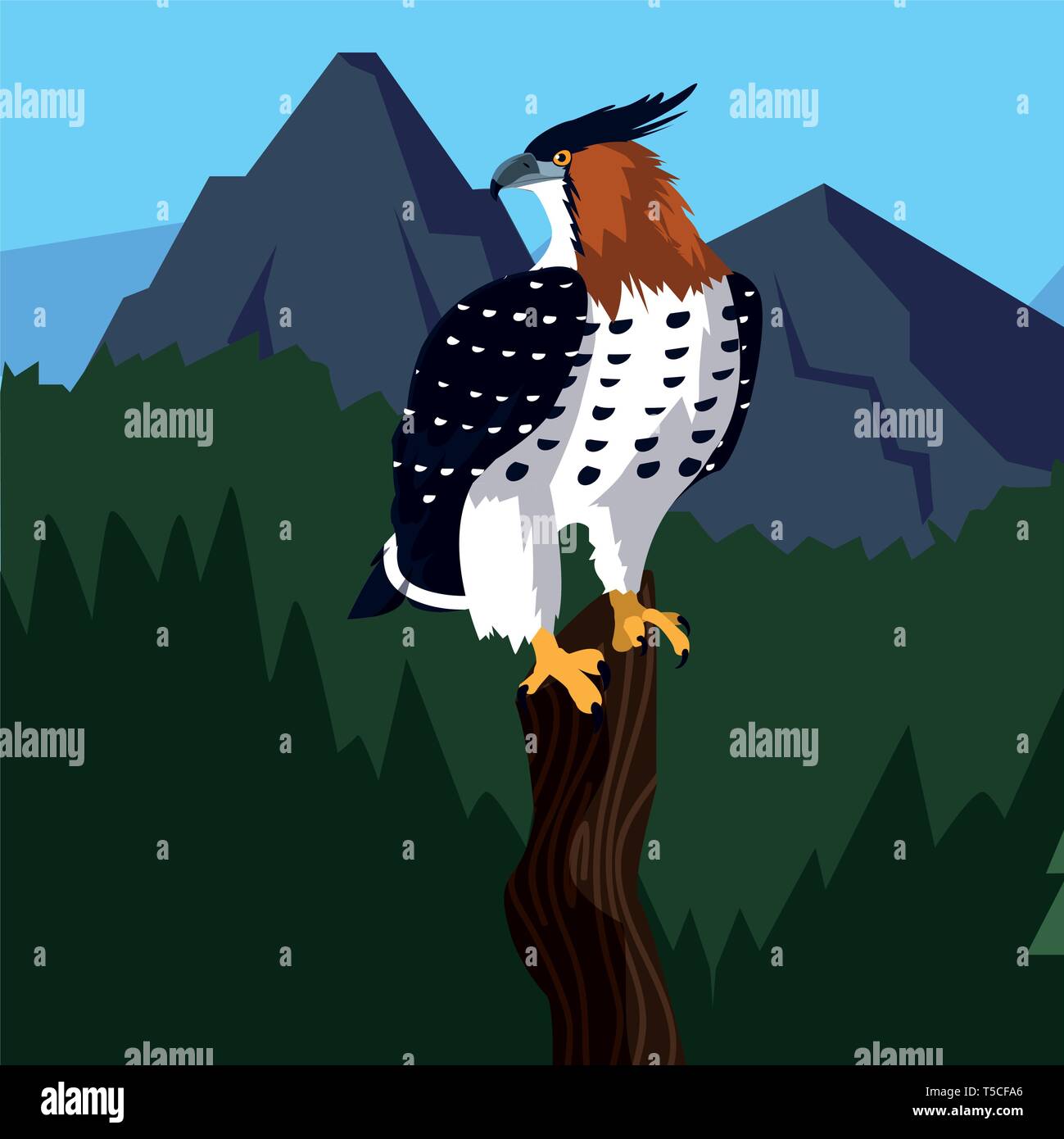 beautiful hawk in tree branch landscape scene vector illustration ...