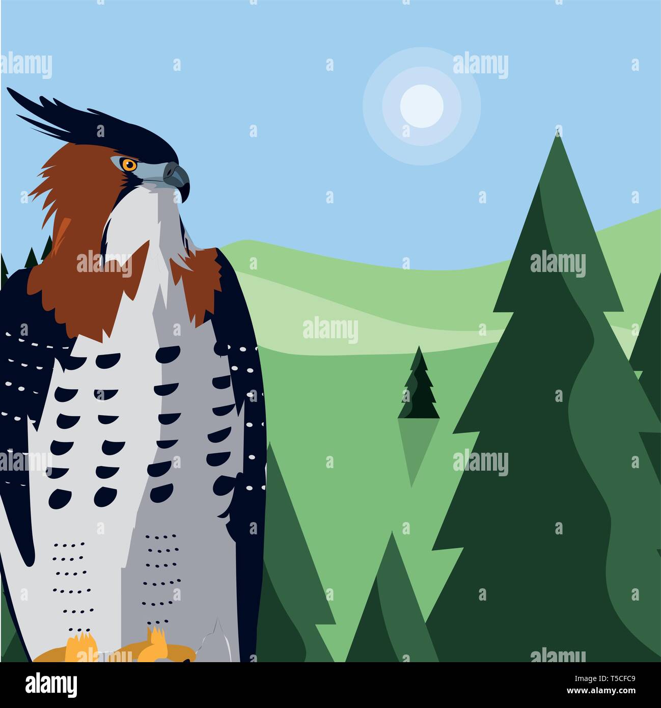 beautiful hawk majestic bird in the landscape vector illustration ...