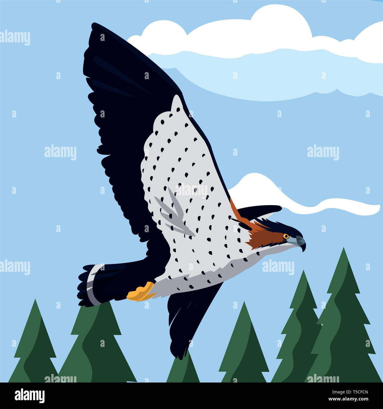 beautiful hawk flying majestic bird in the landscape vector ...