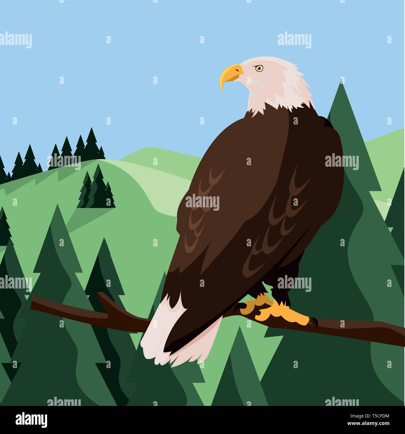 beautiful bald eagle in tree branch landscape scene vector illustration ...