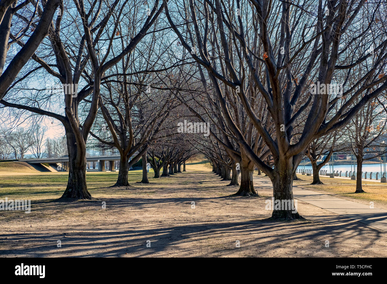Canberra in winter Stock Photo - Alamy
