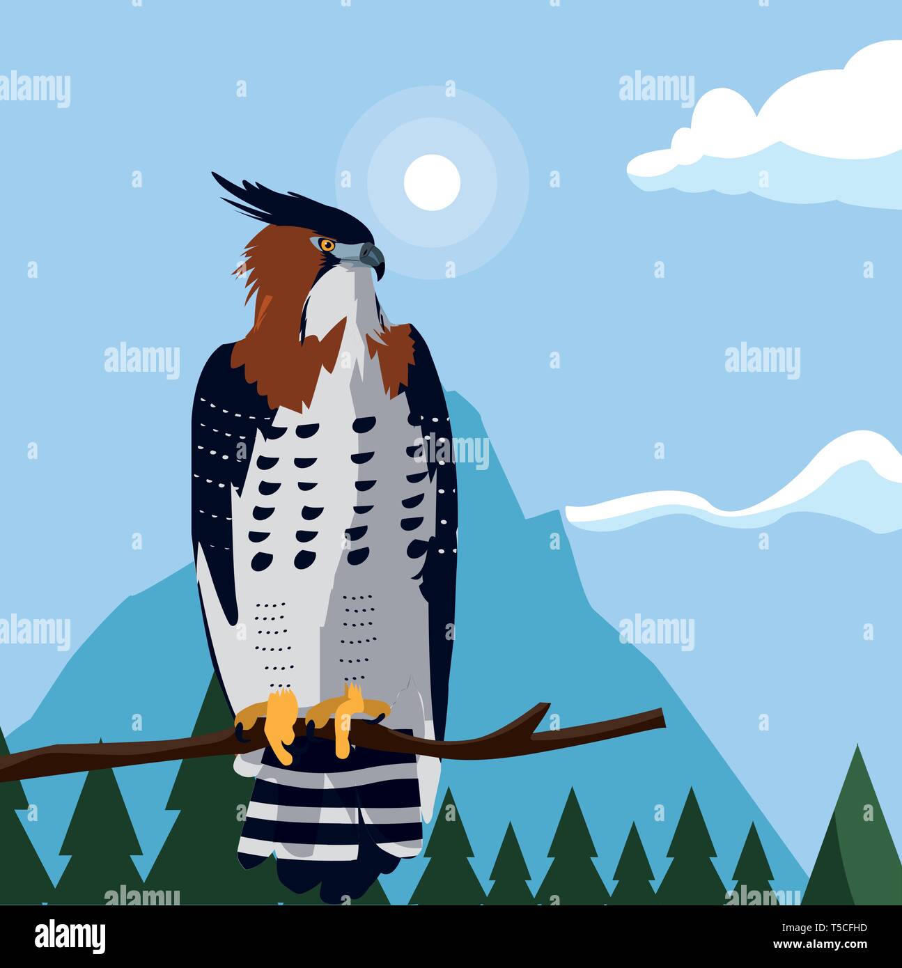 beautiful hawk in tree branch landscape scene vector illustration ...
