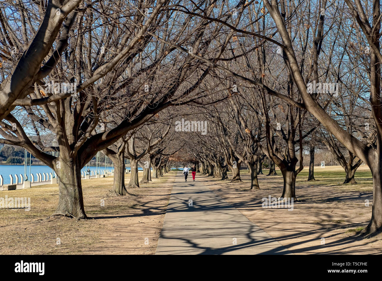 Canberra in winter Stock Photo - Alamy