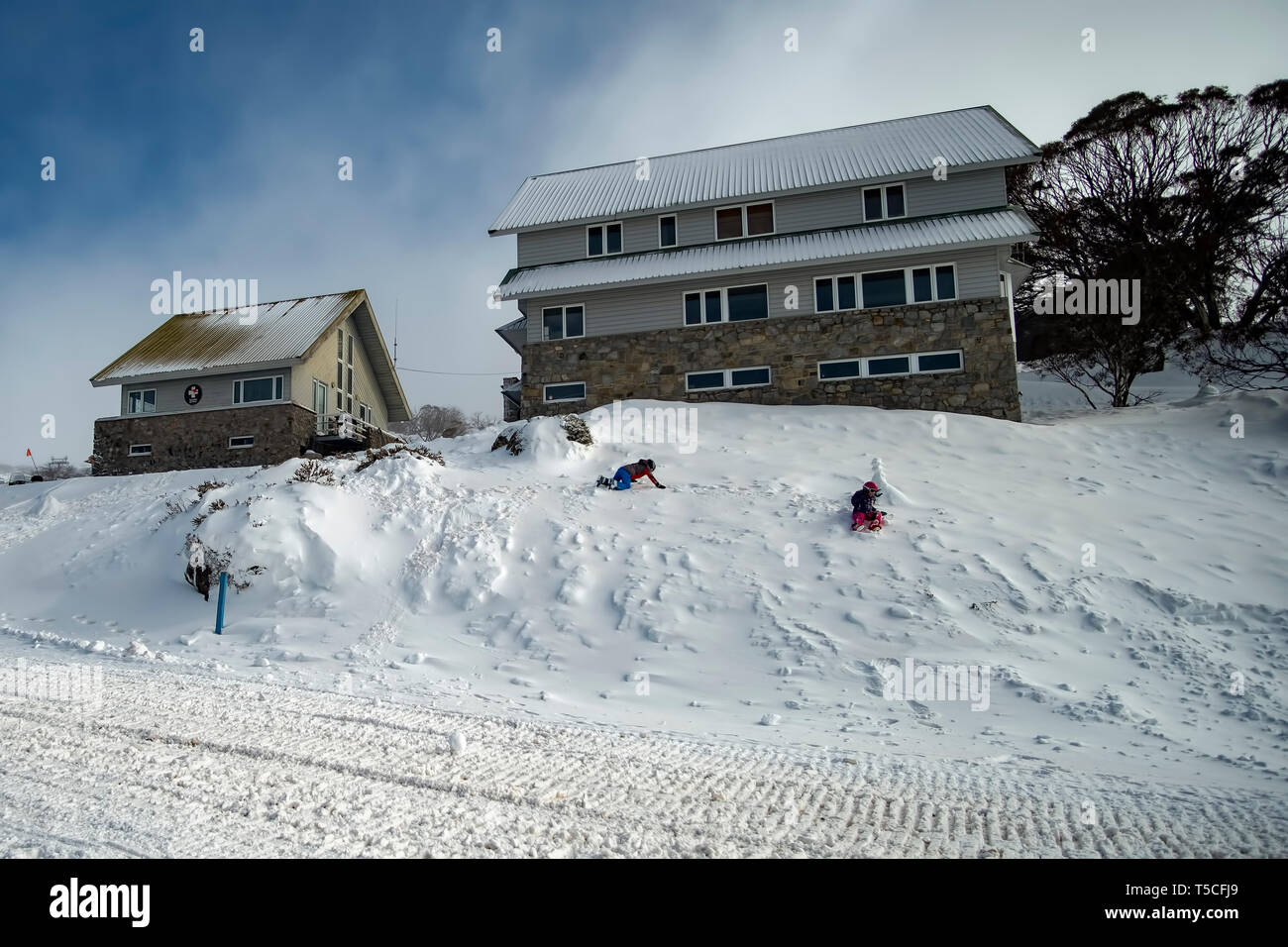 Snowy Mountains, Australia Stock Photo - Alamy