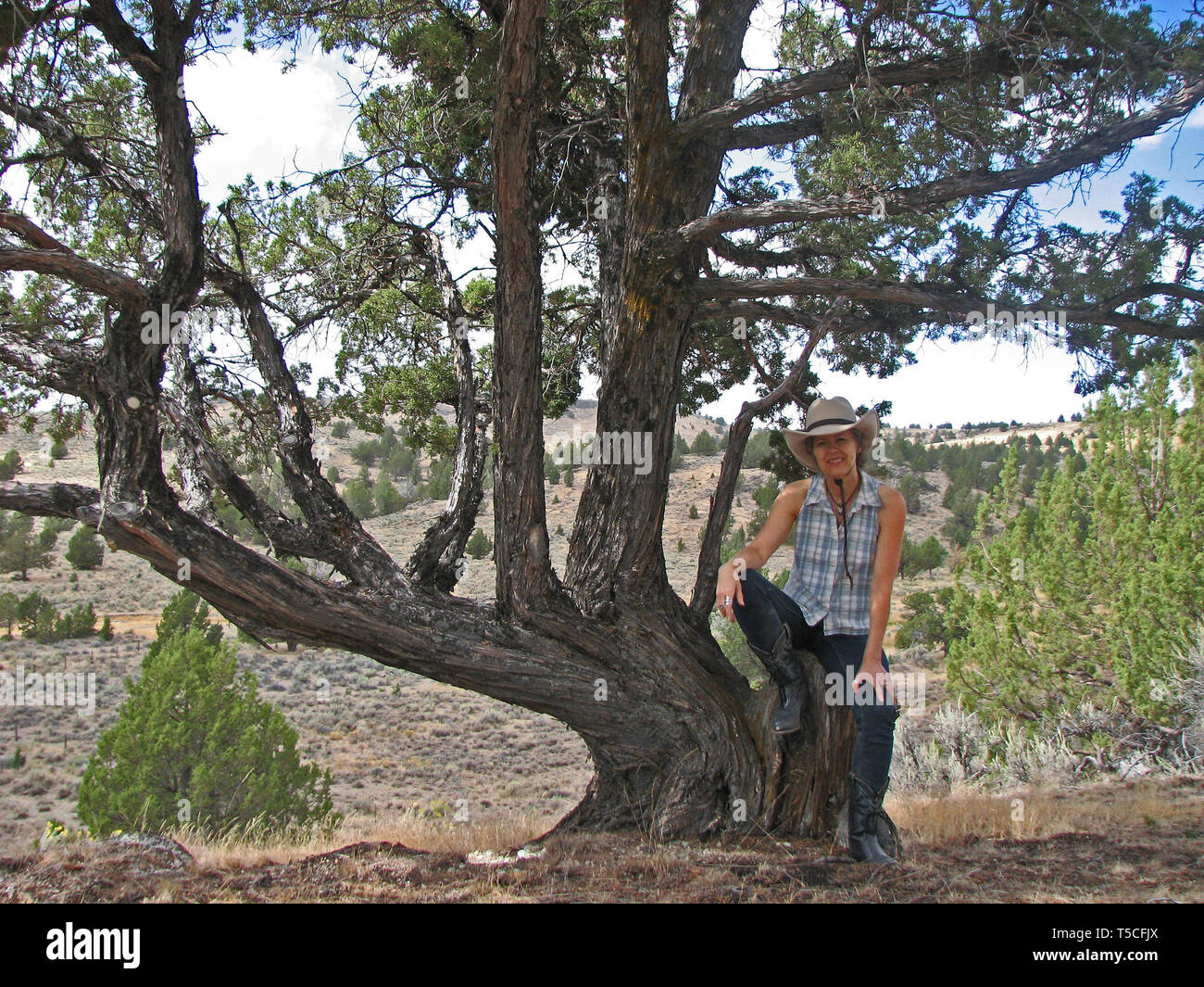 Woman sits under juniper tree in the eastern Oregon desert Stock Photo ...