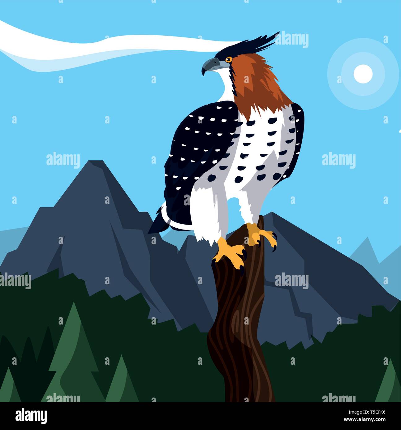 beautiful hawk in tree branch landscape scene vector illustration ...