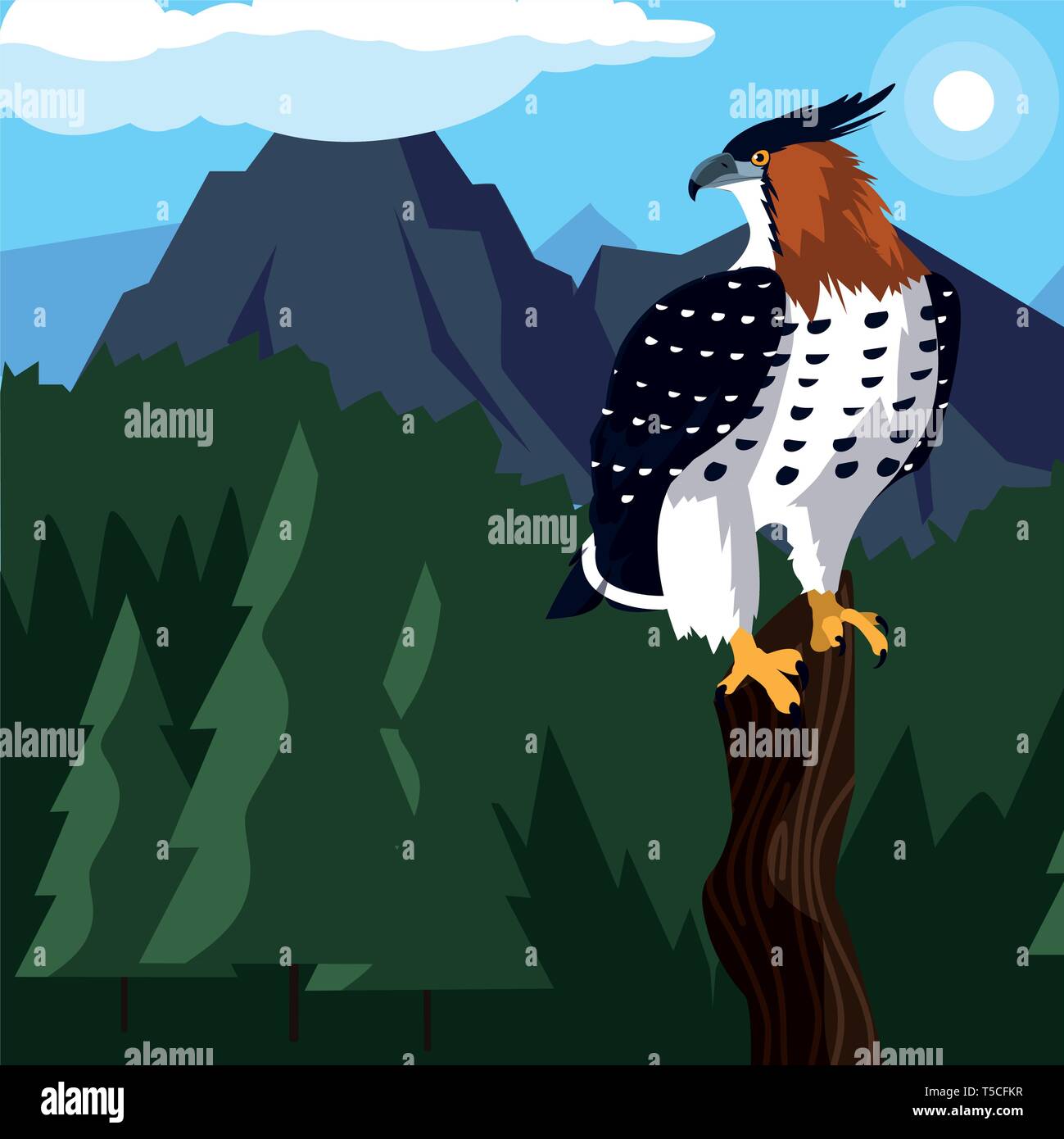 beautiful hawk in tree branch landscape scene vector illustration ...
