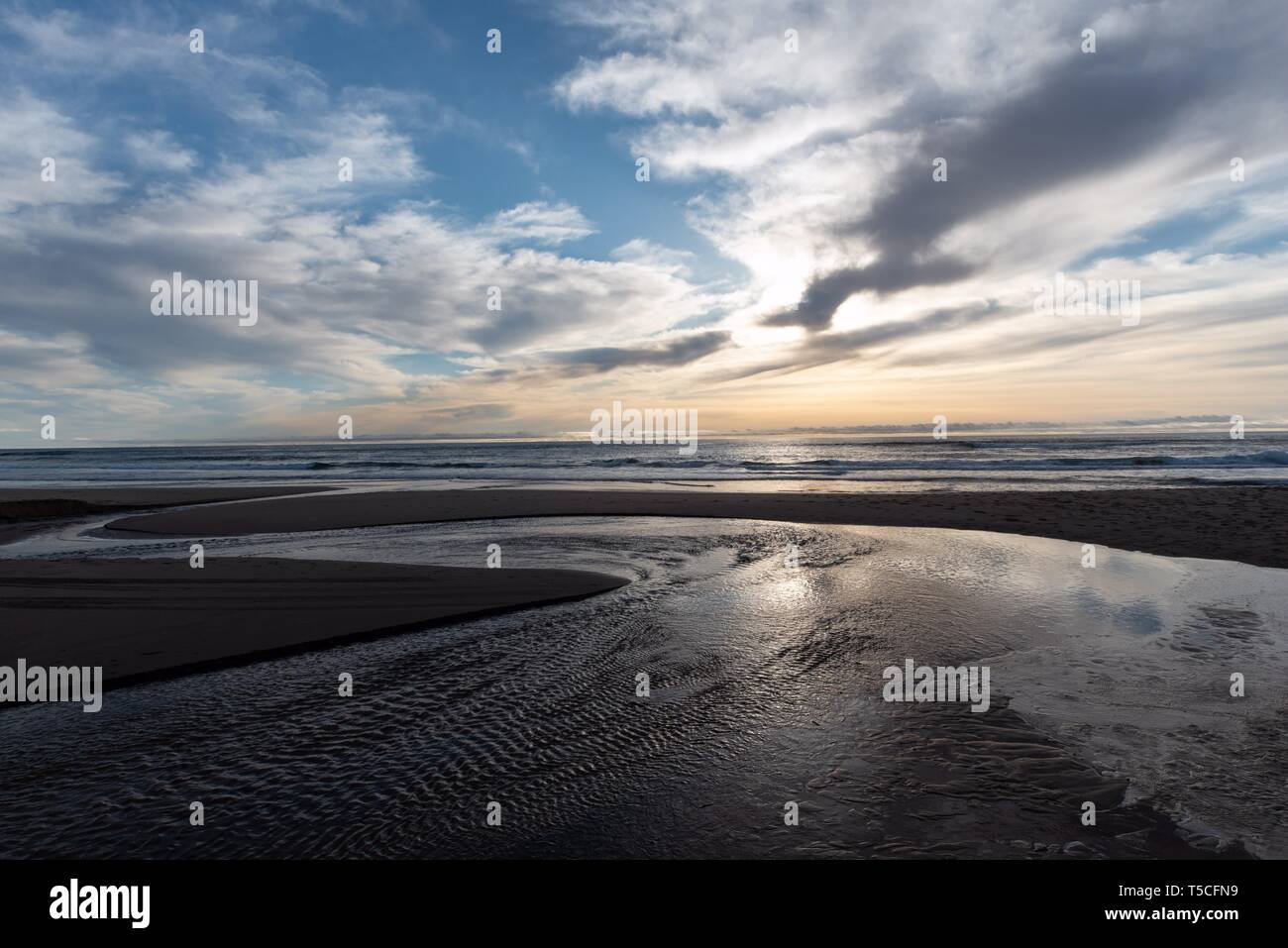 Oso Flaco State Park High Resolution Stock Photography and Images - Alamy