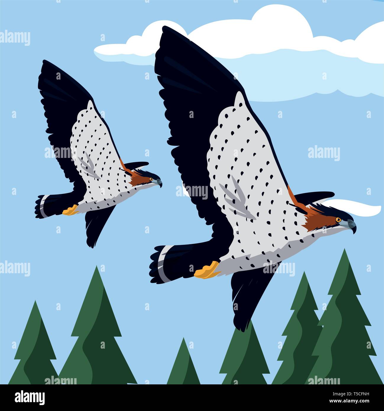 beautiful hawks flying majestic birds vector illustration design Stock ...