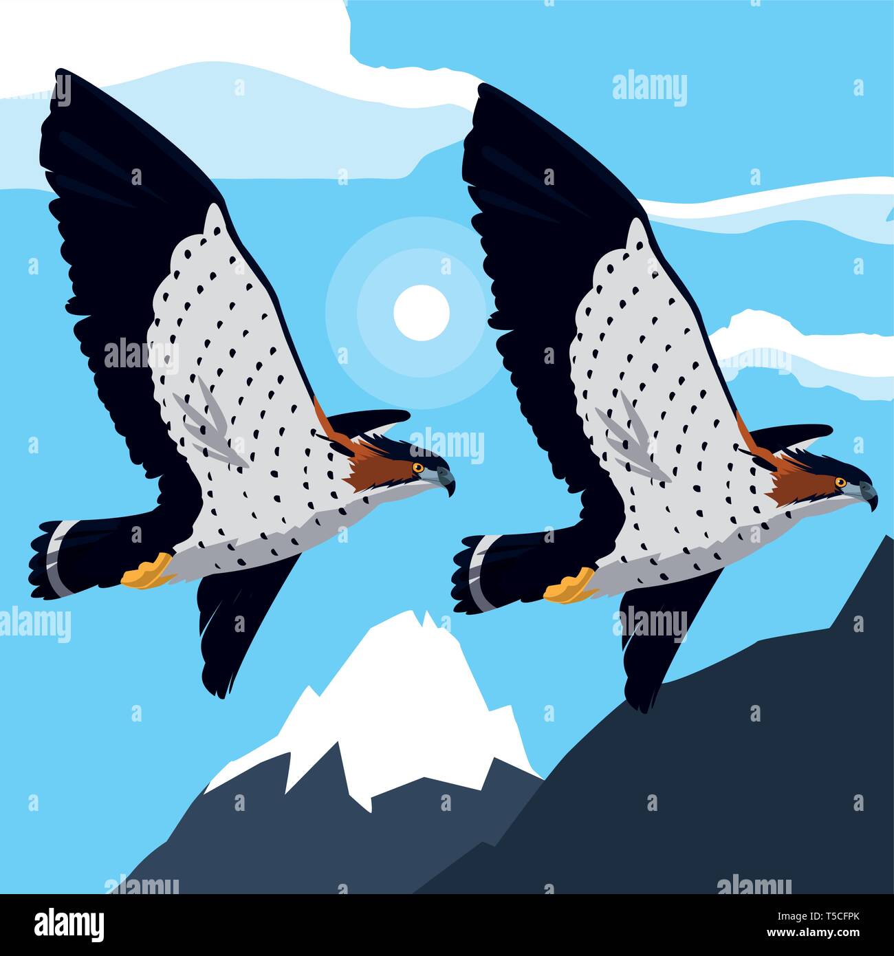 beautiful hawks flying majestic birds vector illustration design Stock ...