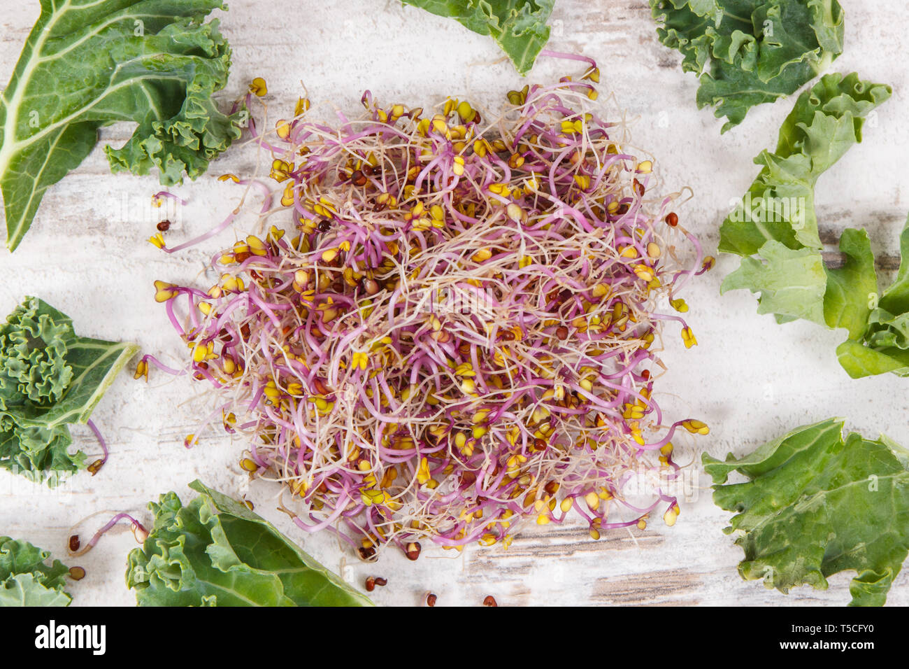 Fresh healthy nutritious kale sprouts. Food containing natural vitamins ...