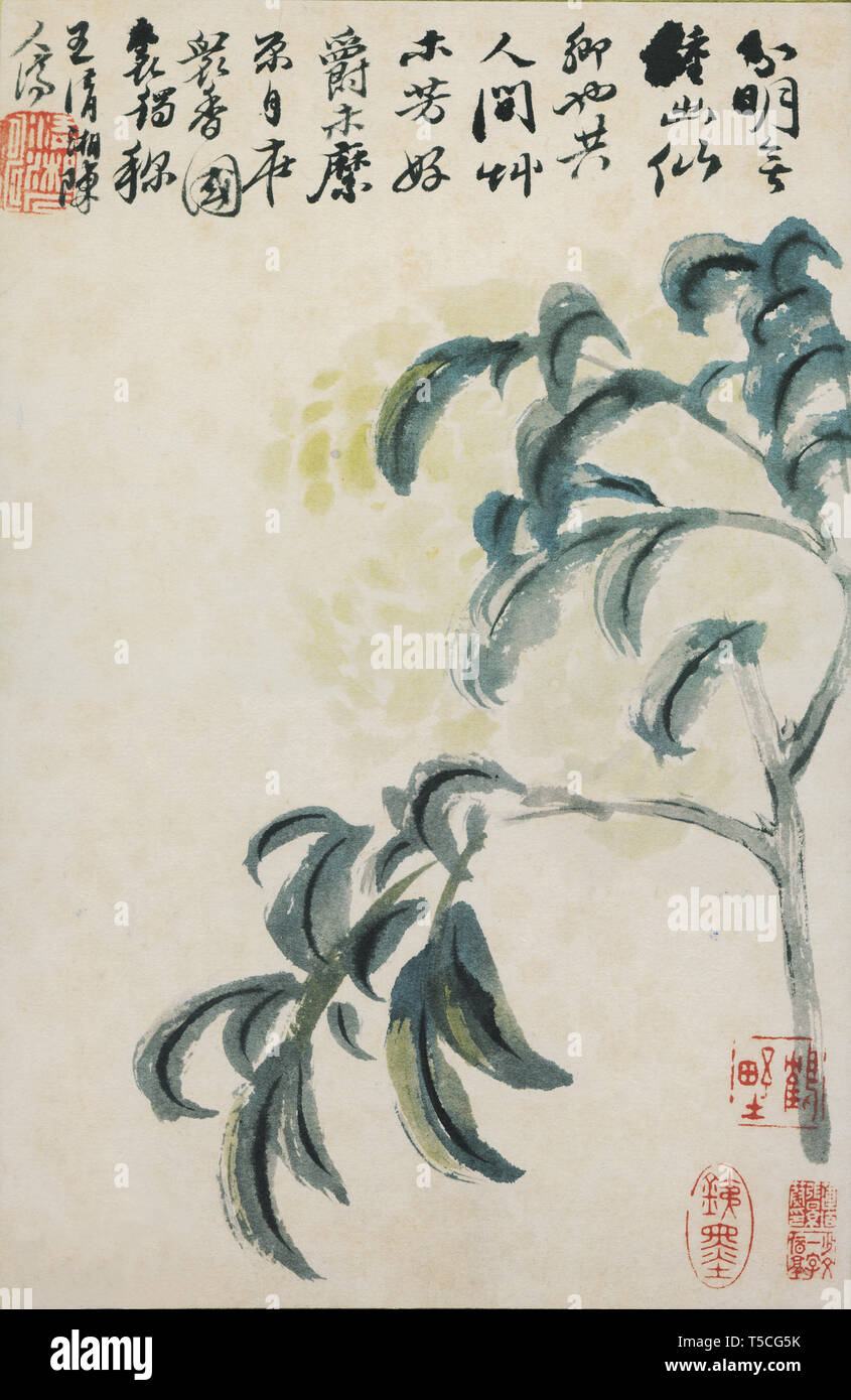 Qing Dynasty Shi Tao "Flower and Bird Atlas 12 Stock Photo - Alamy