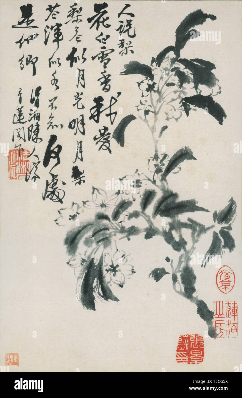 Qing Dynasty Shi Tao "Flower and Bird Atlas 12 Stock Photo - Alamy