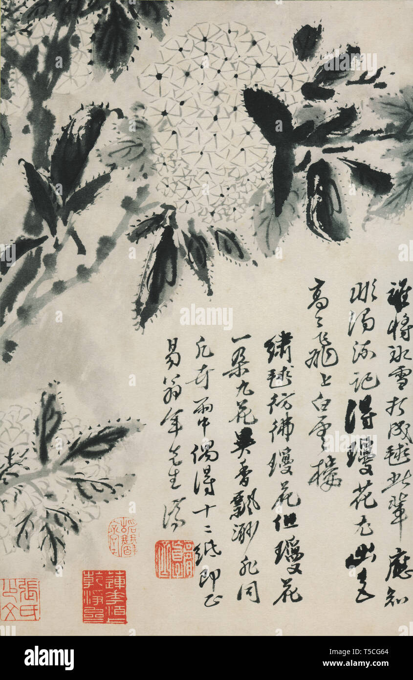 Qing Dynasty Shi Tao "Flower and Bird Atlas 12 Stock Photo - Alamy