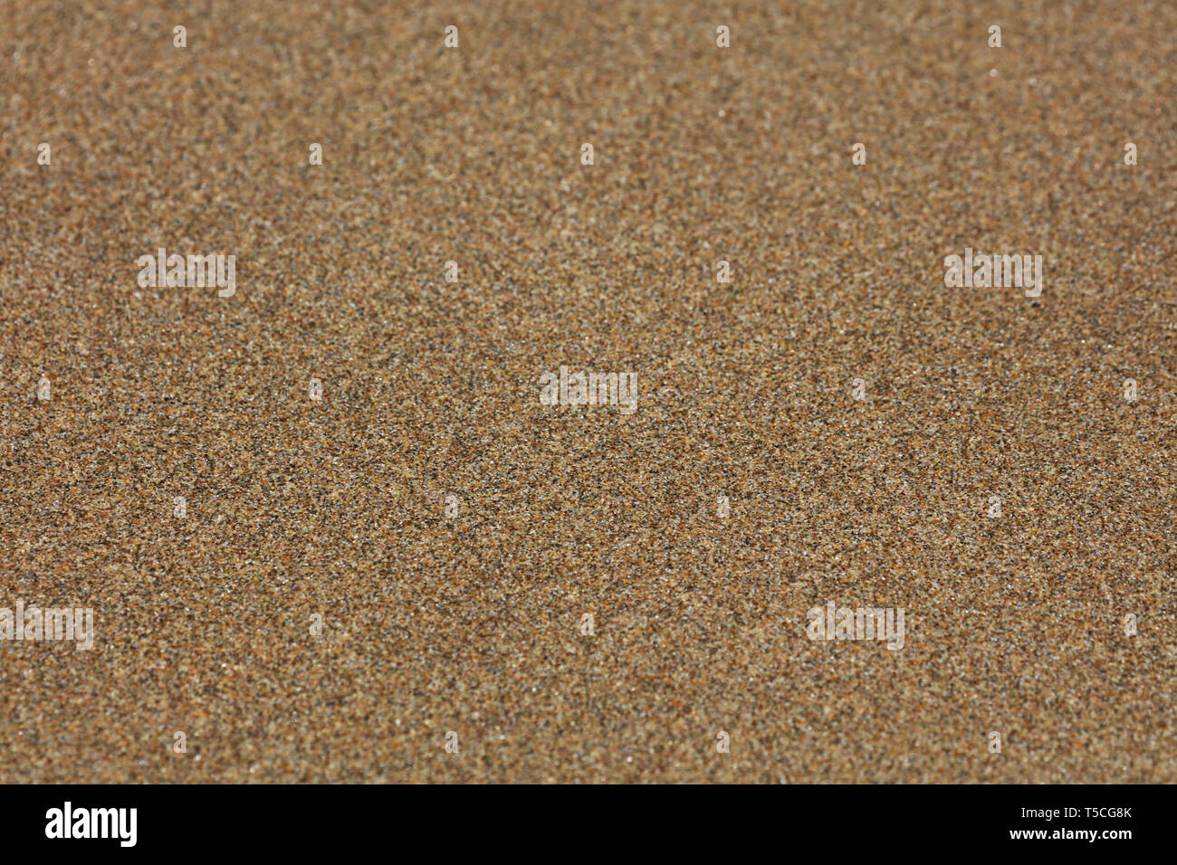 Background sandy beach sand grain of sand Stock Photo - Alamy