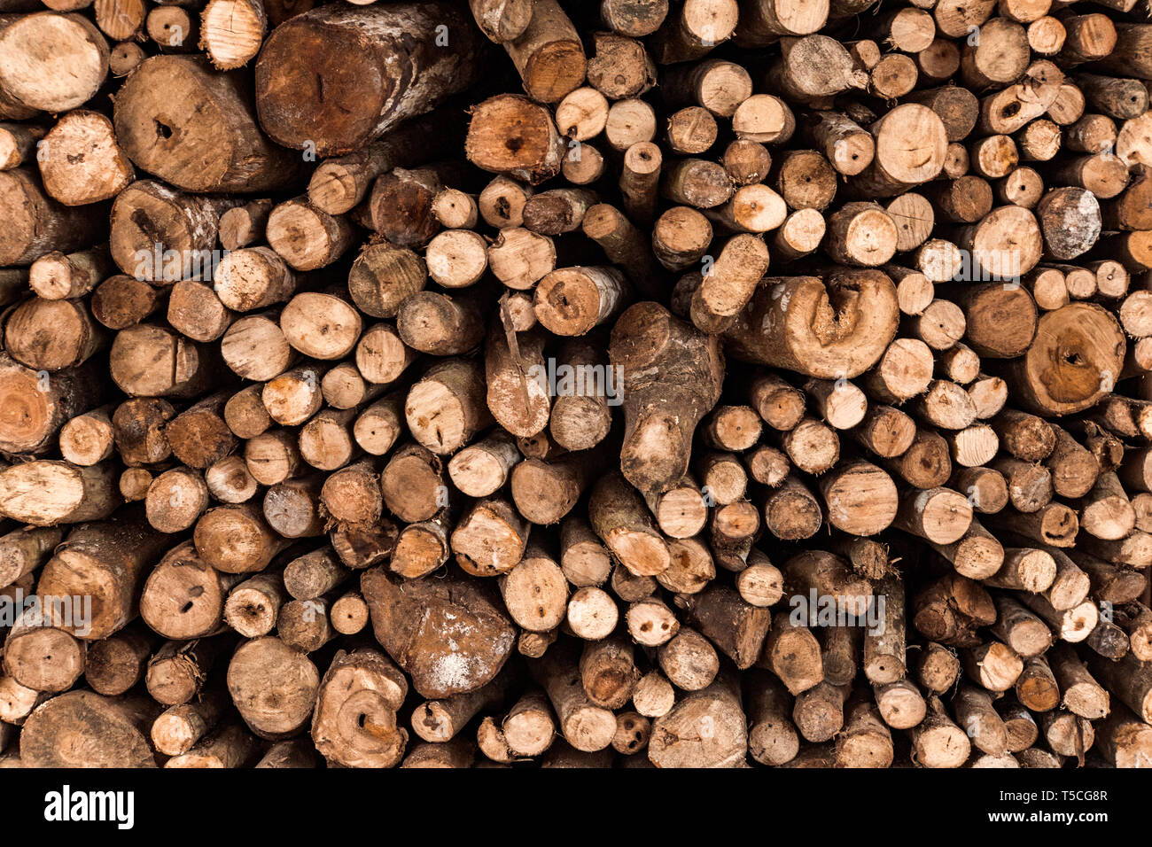 Firewood texture logs rural scene brown background Stock Photo - Alamy