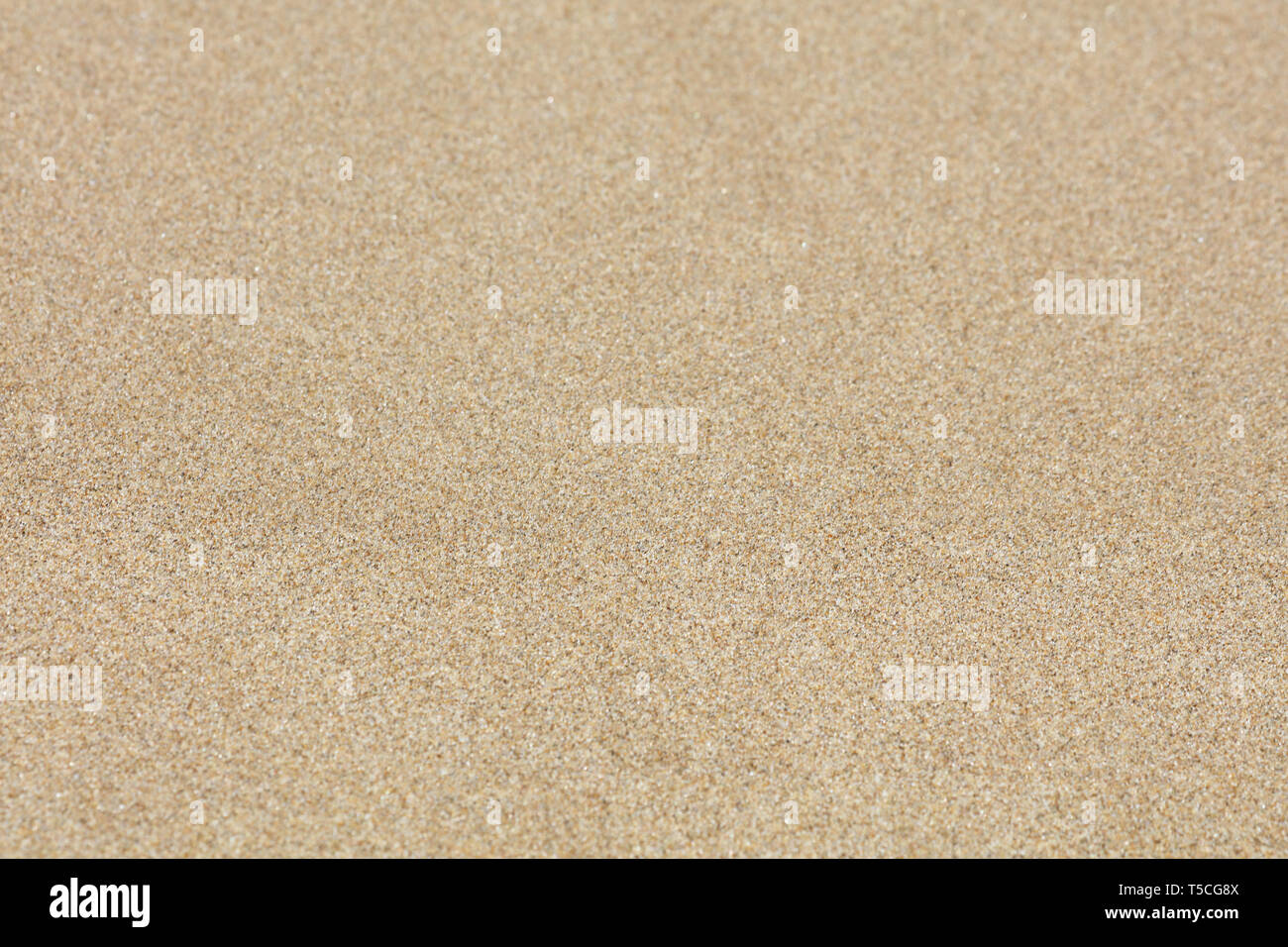 Background sandy beach sand grain of sand Stock Photo - Alamy
