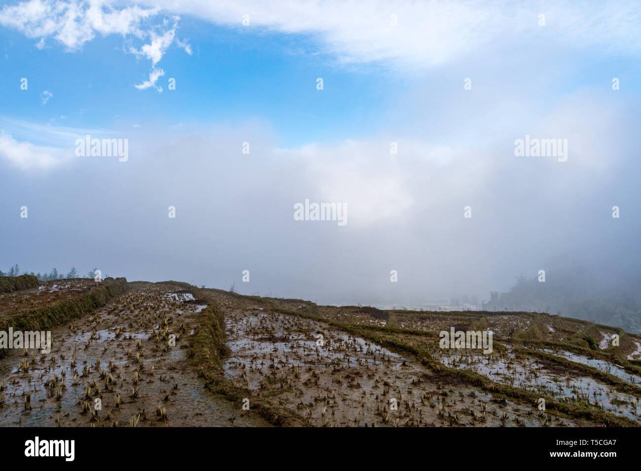 Crop lien system hi-res stock photography and images - Alamy