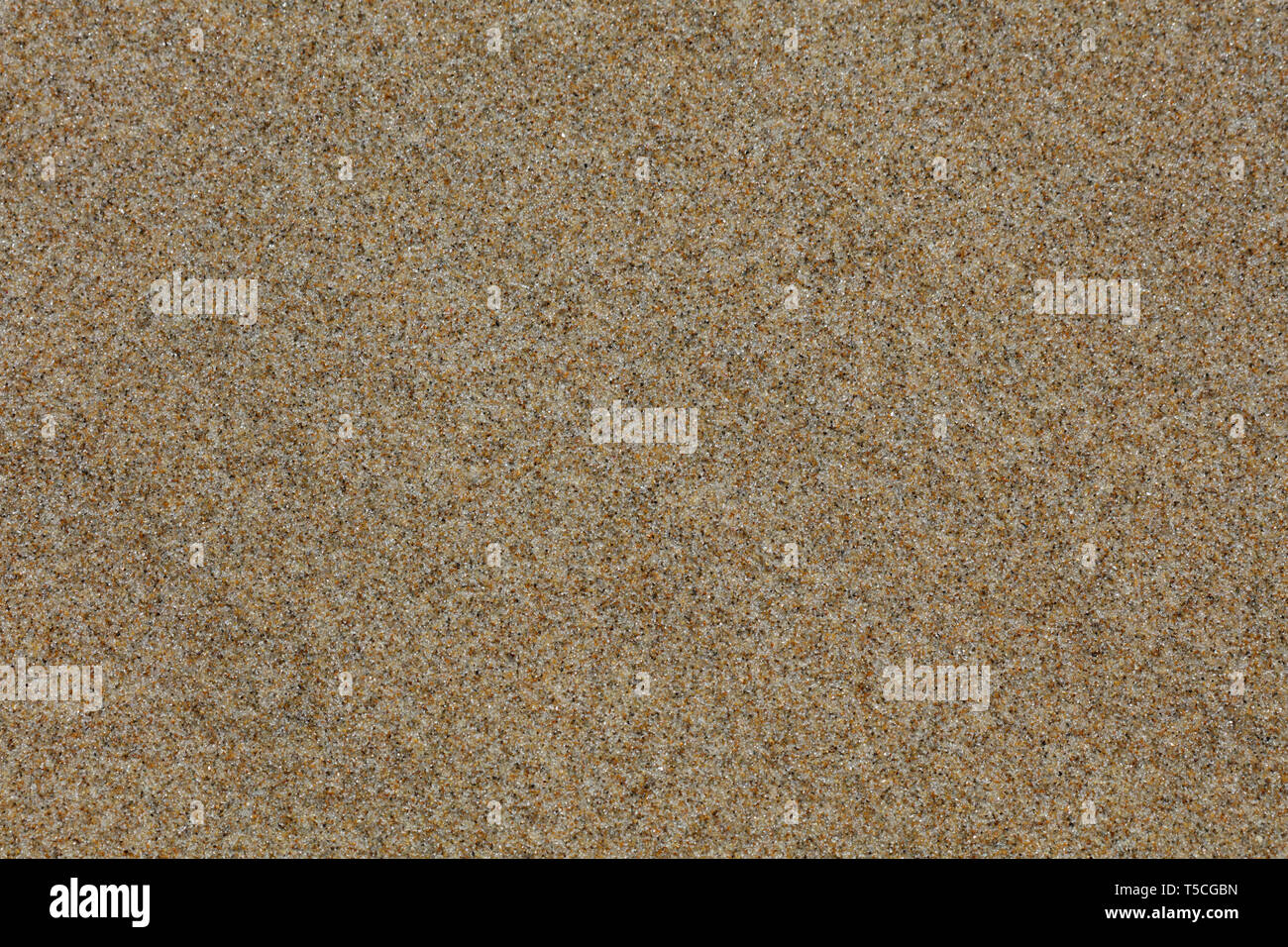Background sandy beach sand grain of sand Stock Photo - Alamy