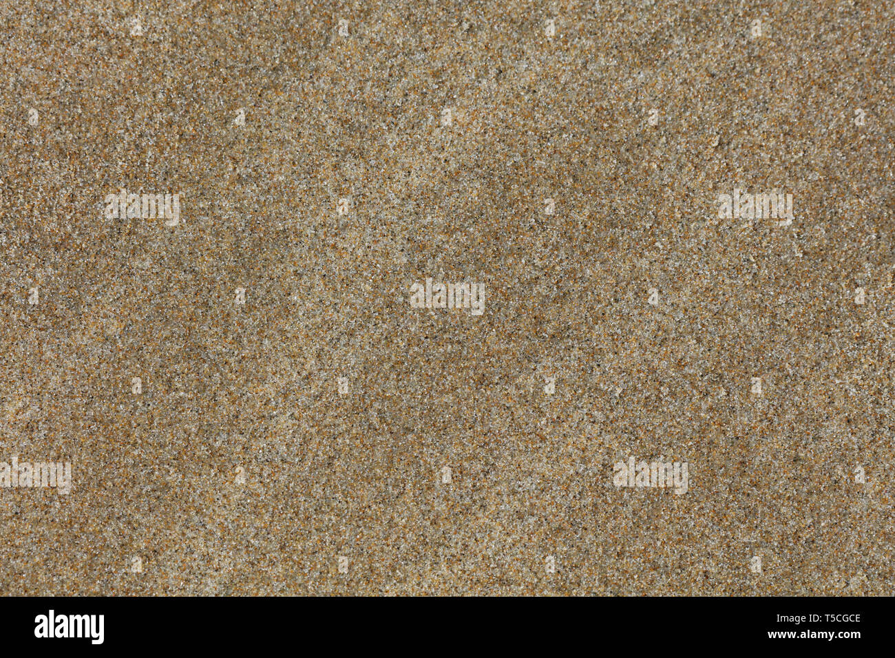 Background sandy beach sand grain of sand Stock Photo - Alamy