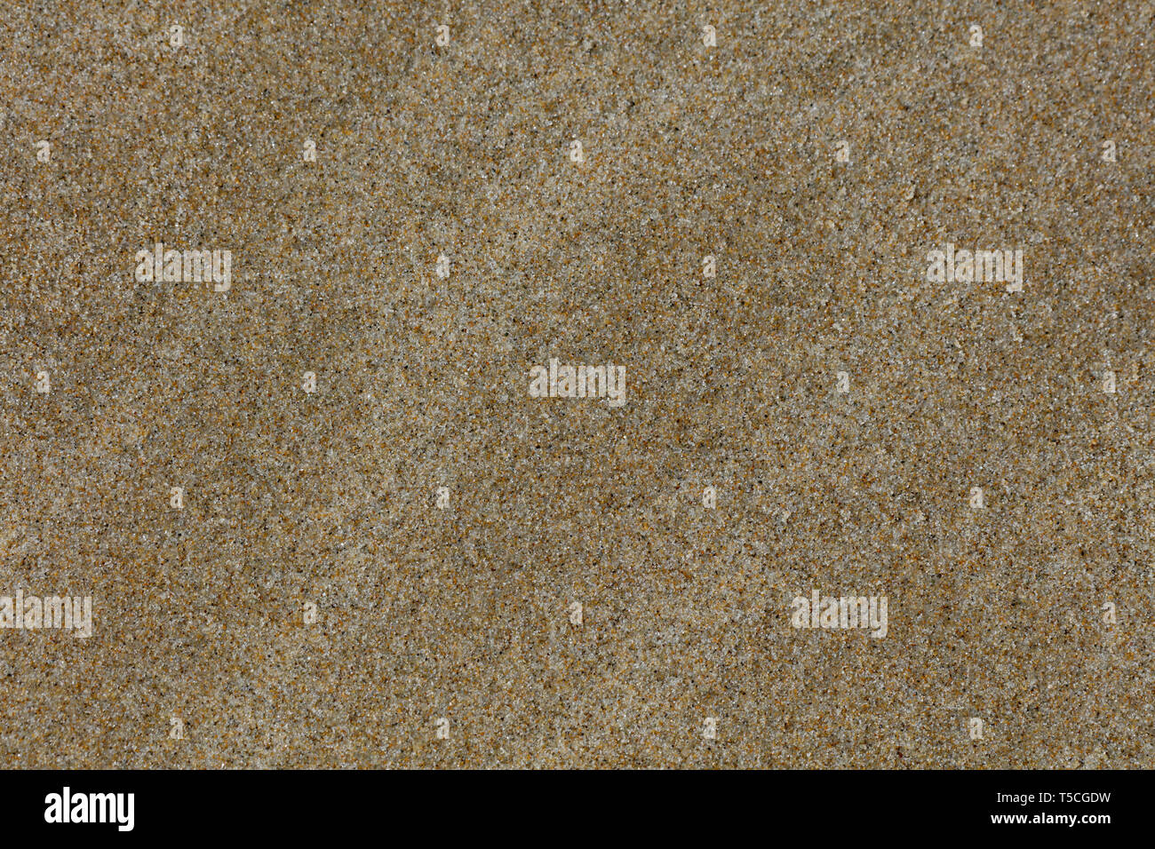Background sandy beach sand grain of sand Stock Photo - Alamy